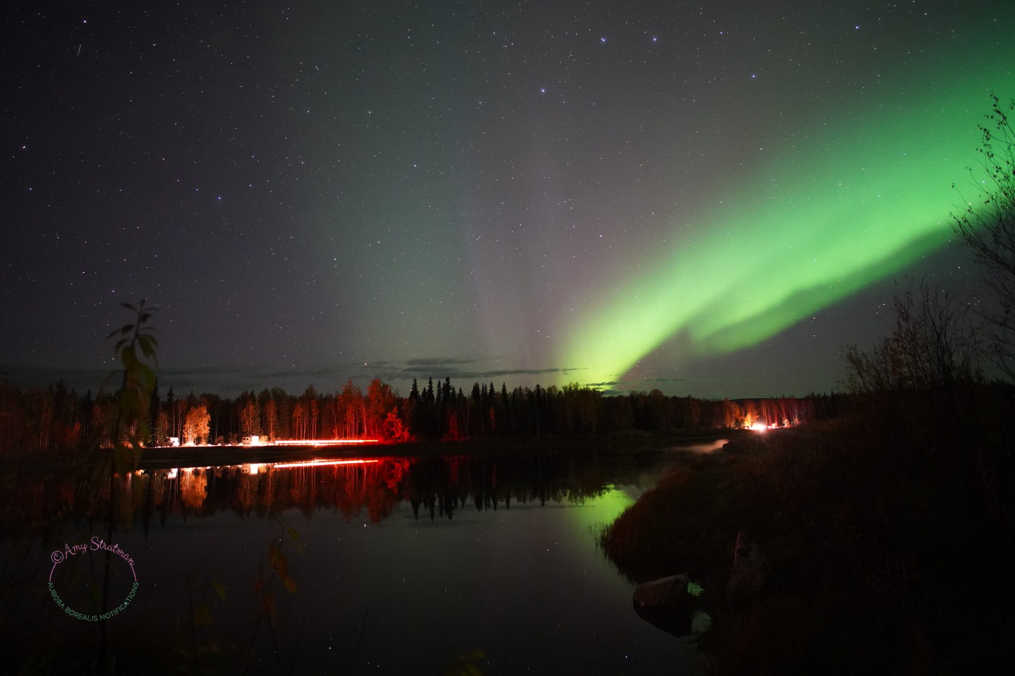 Tours – Howling Bay Kennel